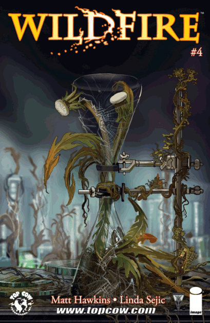 Wildfire #4 | Image Comics